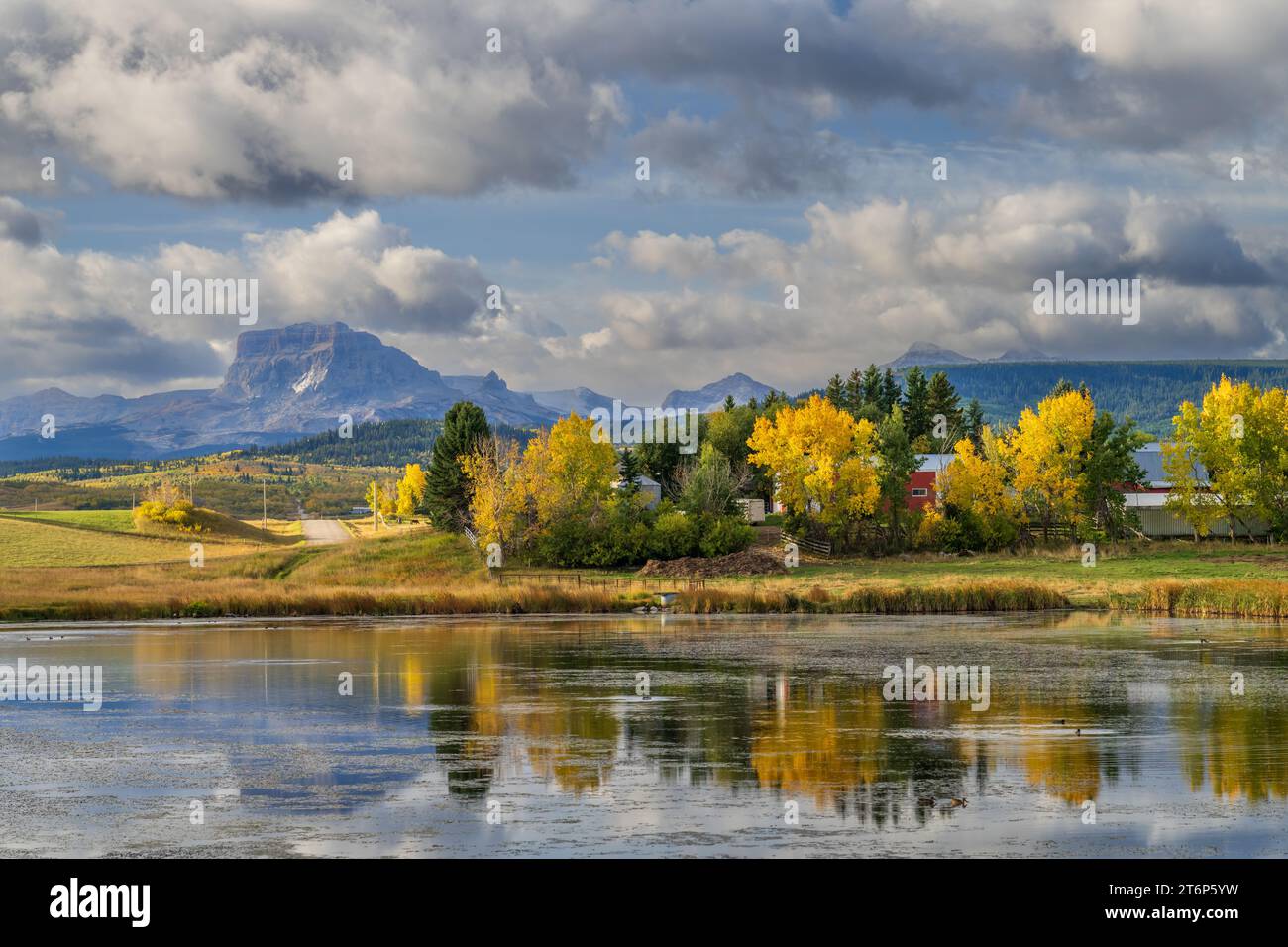 Fall foliage color in the foothills of Waterton Lakes National Park ...