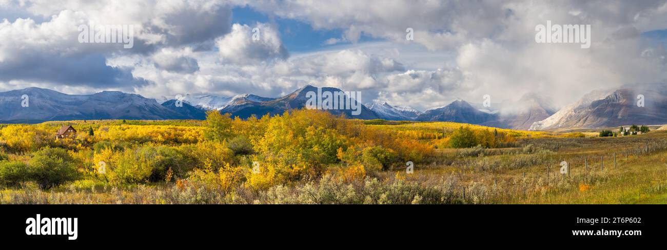 Fall foliage color in the foothills of Waterton Lakes National Park ...