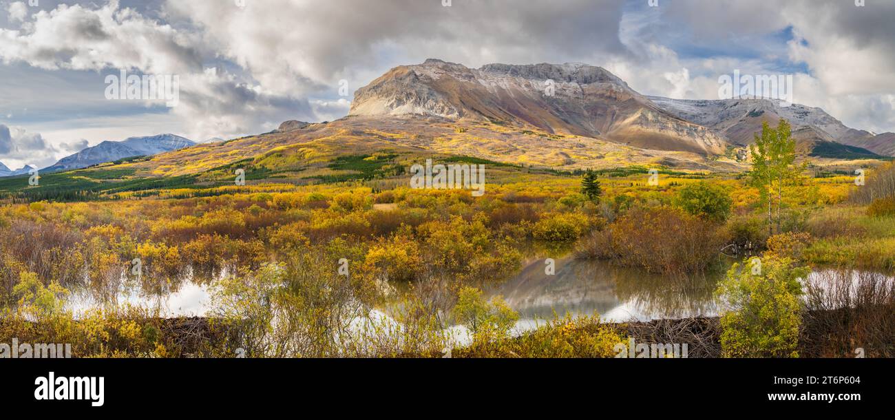 Fall foliage color in the foothills of Waterton Lakes National Park ...