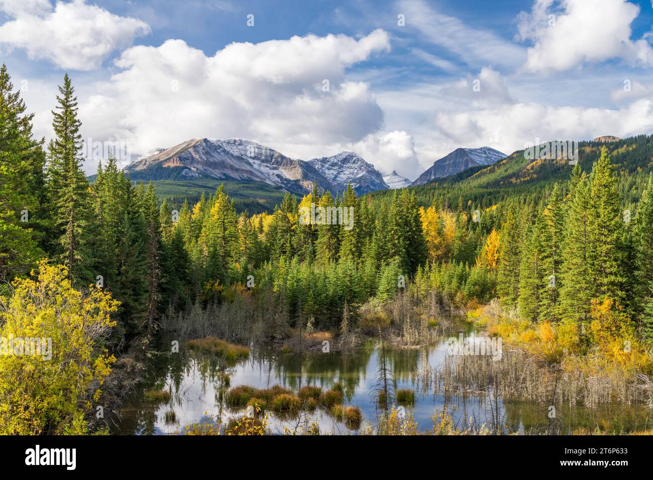 Fall foliage color in the foothills of Waterton Lakes National Park ...