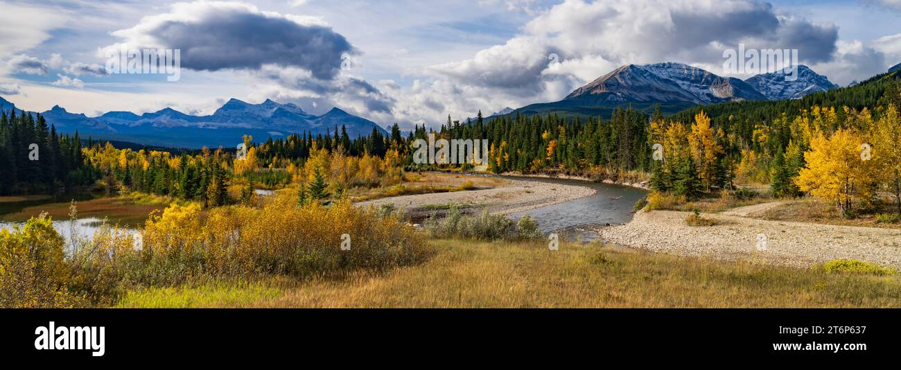 Fall foliage color in the foothills of Waterton Lakes National Park ...