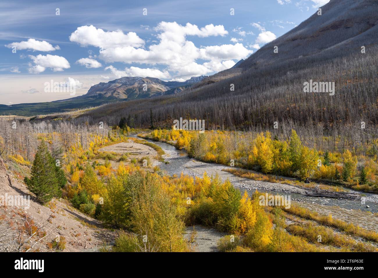 Fall foliage color in Waterton Lakes National Park, Alberta, Canada ...