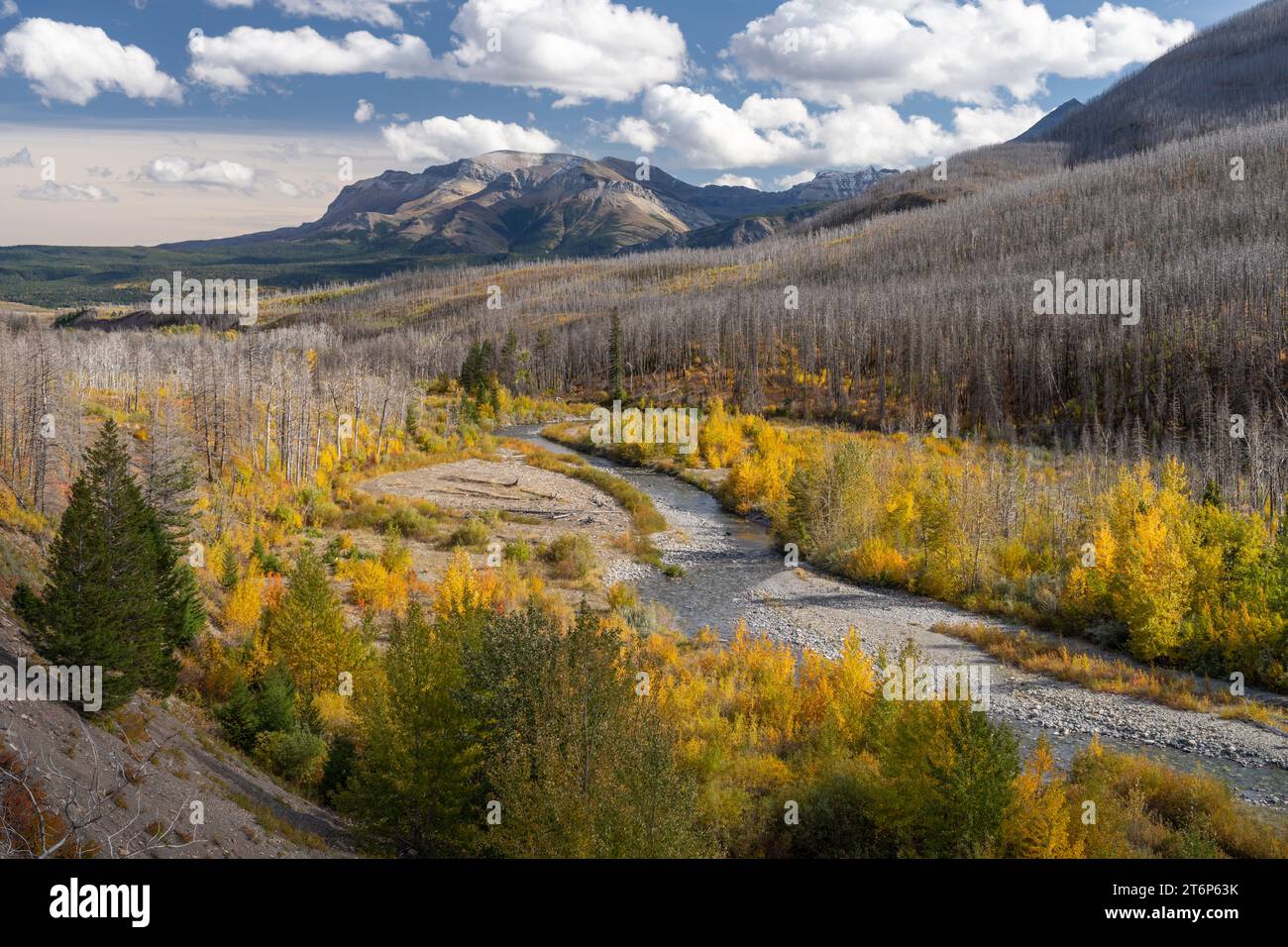 Fall foliage color in Waterton Lakes National Park, Alberta, Canada ...