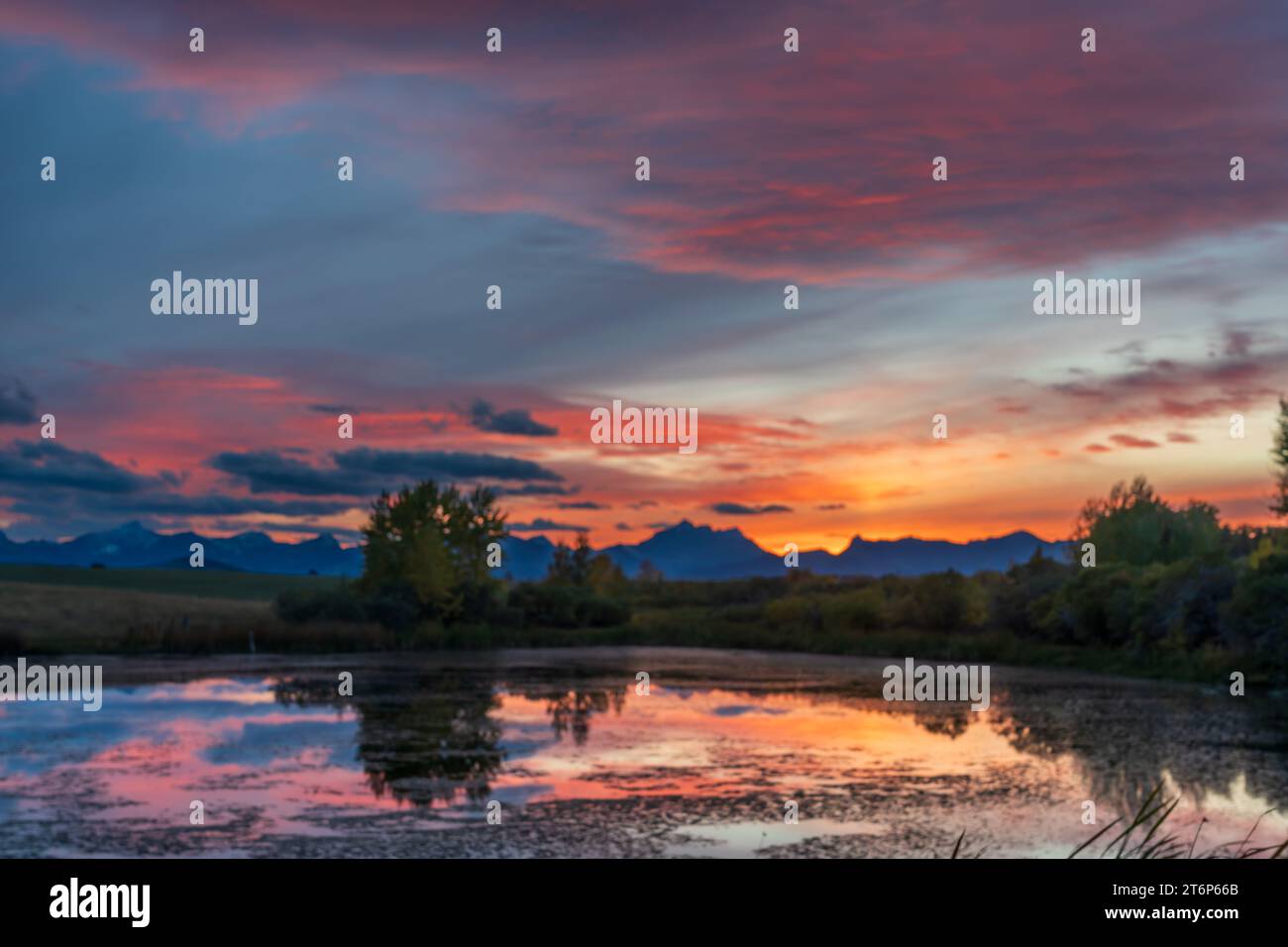 Small lake pond view hi-res stock photography and images - Alamy
