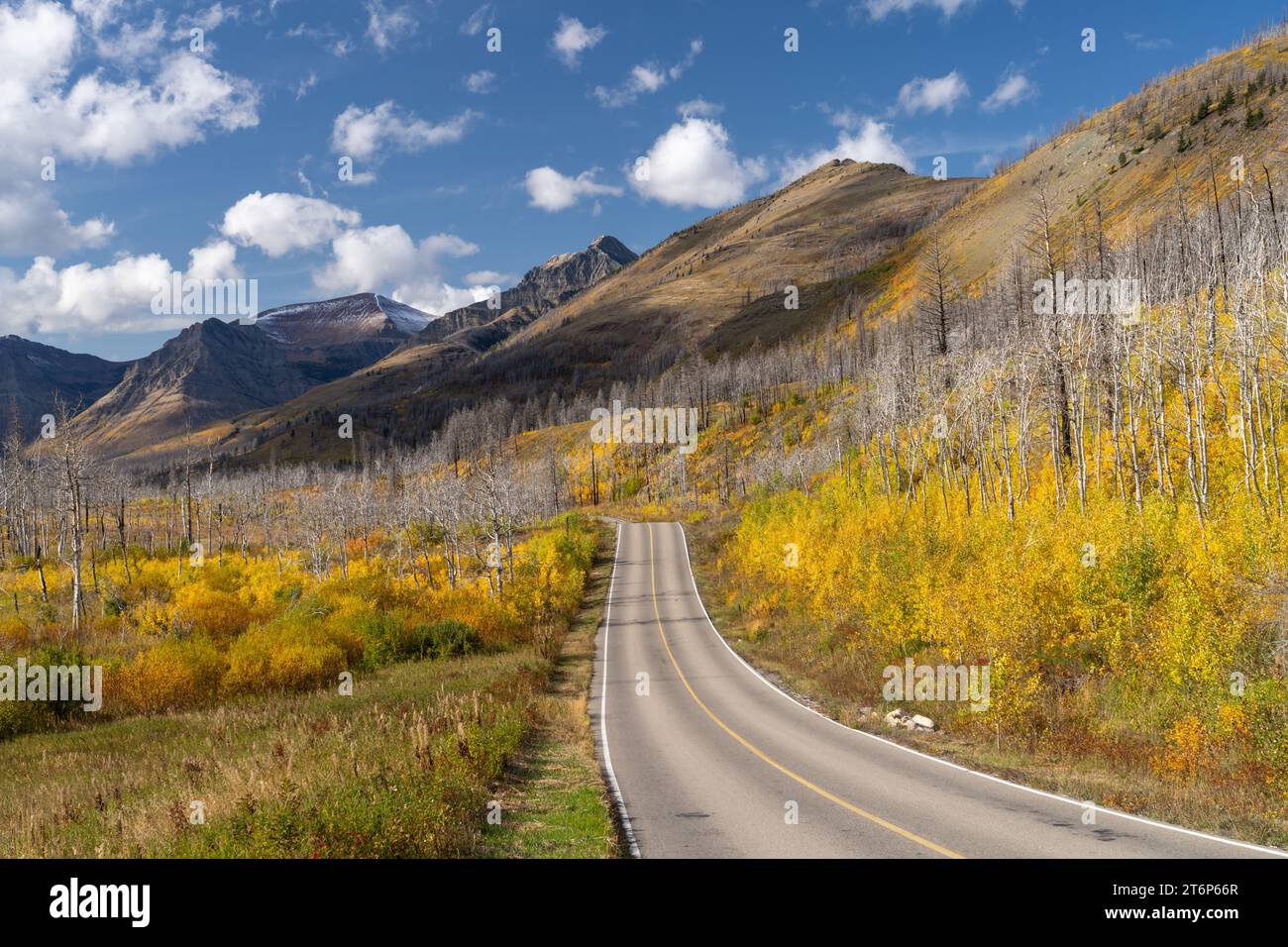 Fall foliage color in Waterton Lakes National Park, Alberta, Canada ...