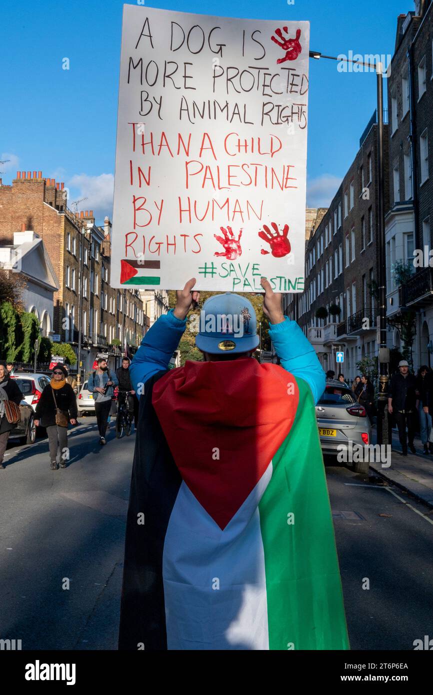 protest against war on Gaza. Protester in the Palestinian flag with ...