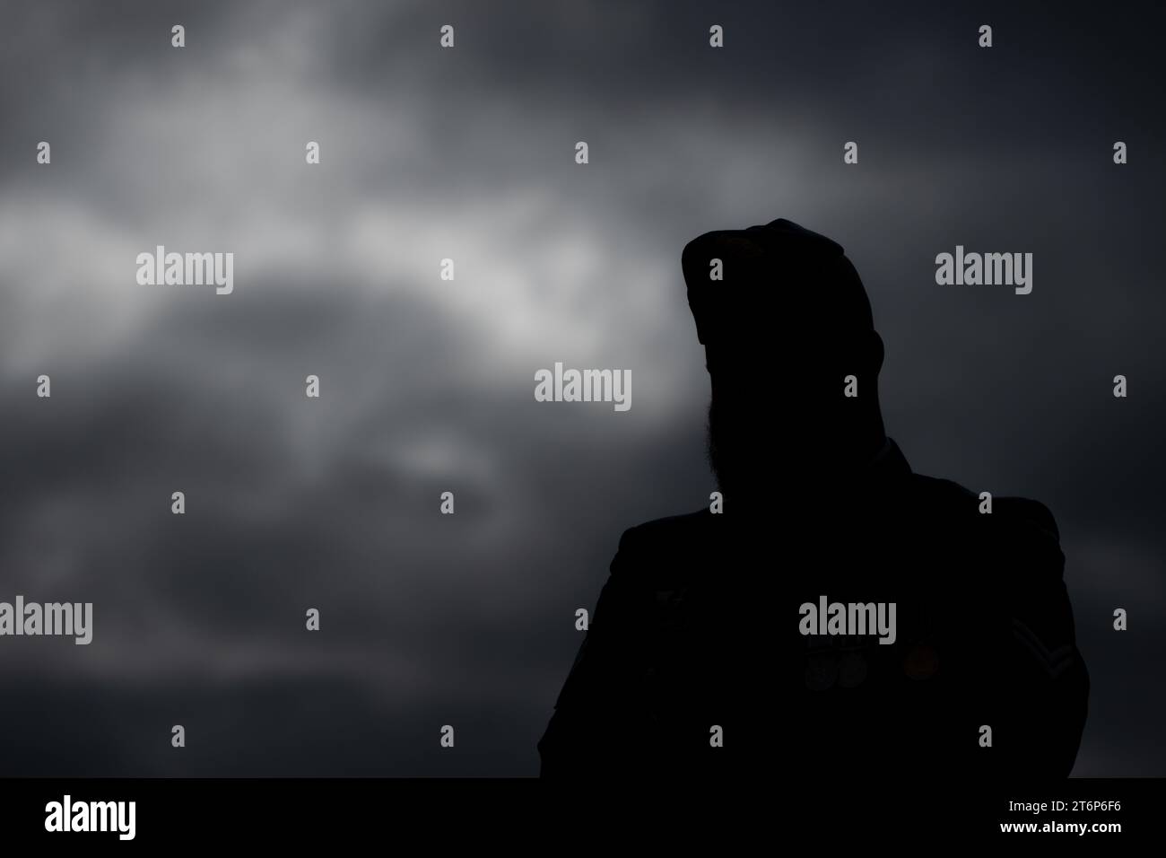 A Royal Canadian Air Force (RCAF) sentry is silhouetted during ...