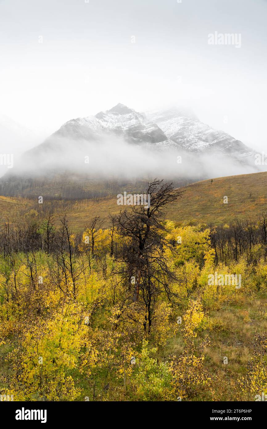 Snow line on the mountains of Waterton Lakes National Park with fall ...