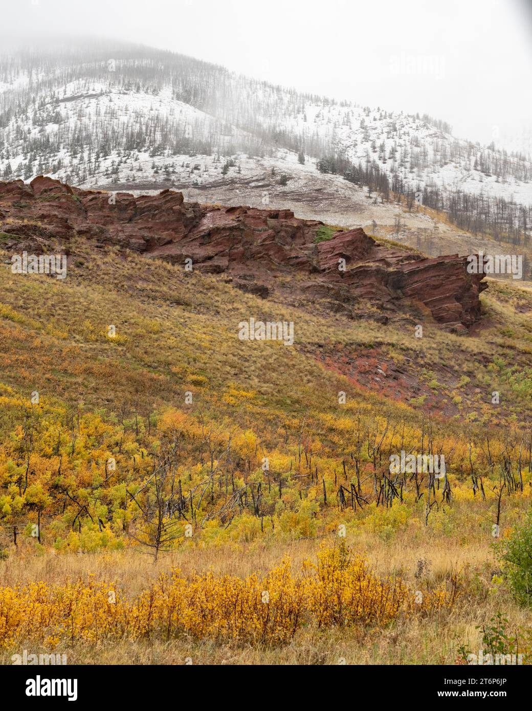 Snow line on the mountains of Waterton Lakes National Park with fall ...
