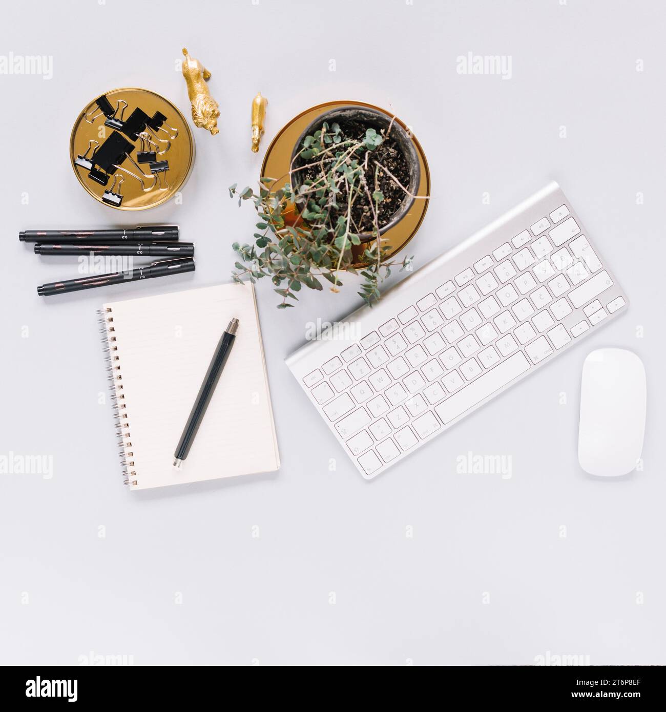 Keyboard mouse showplant with golden animal statue stationery white ...