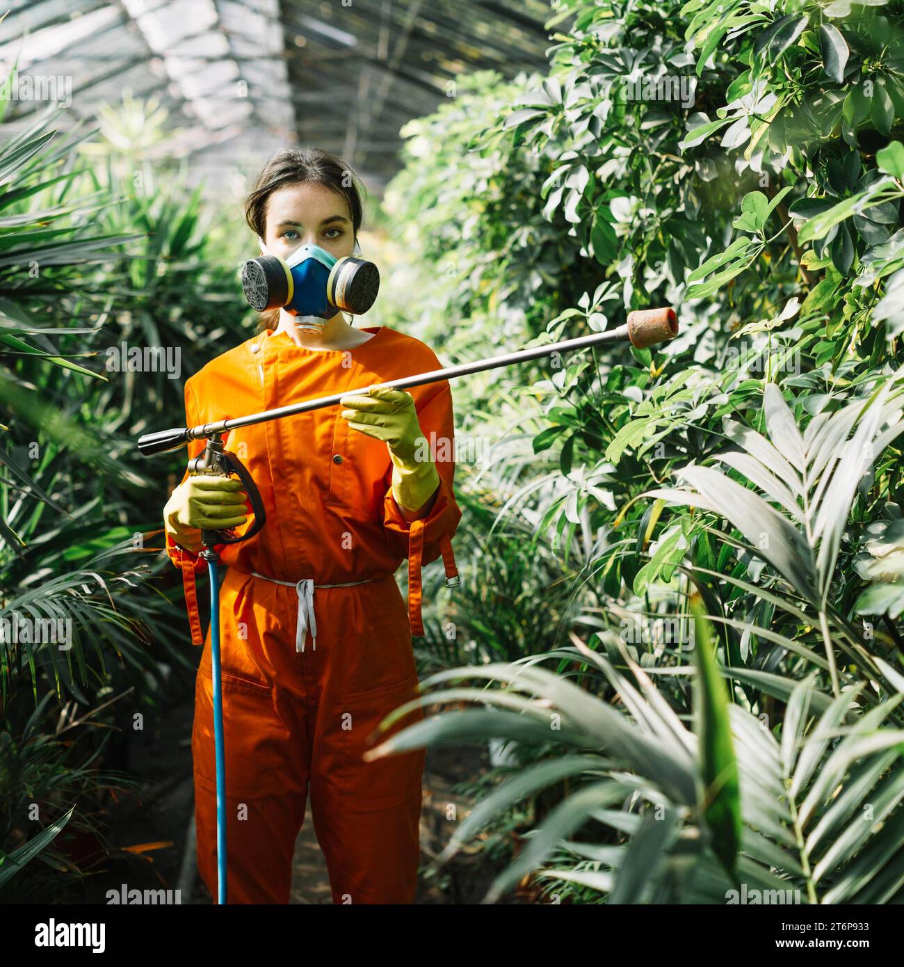 Portrait female gardener wearing pollution mask spraying insecticide ...