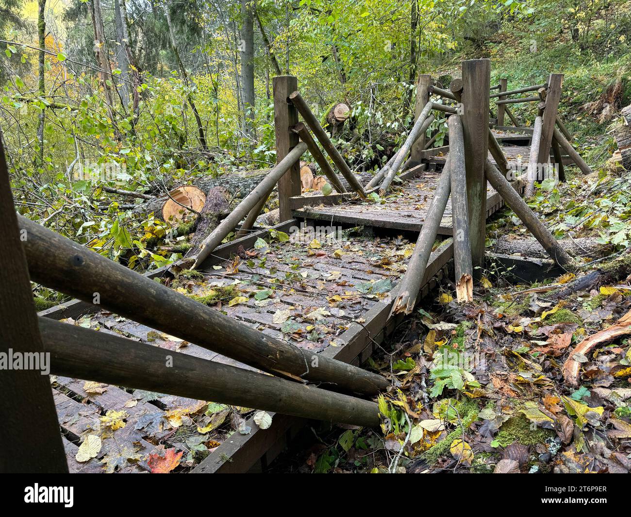 Storm damage on a nature trail. Broken and knocked down trees Stock ...