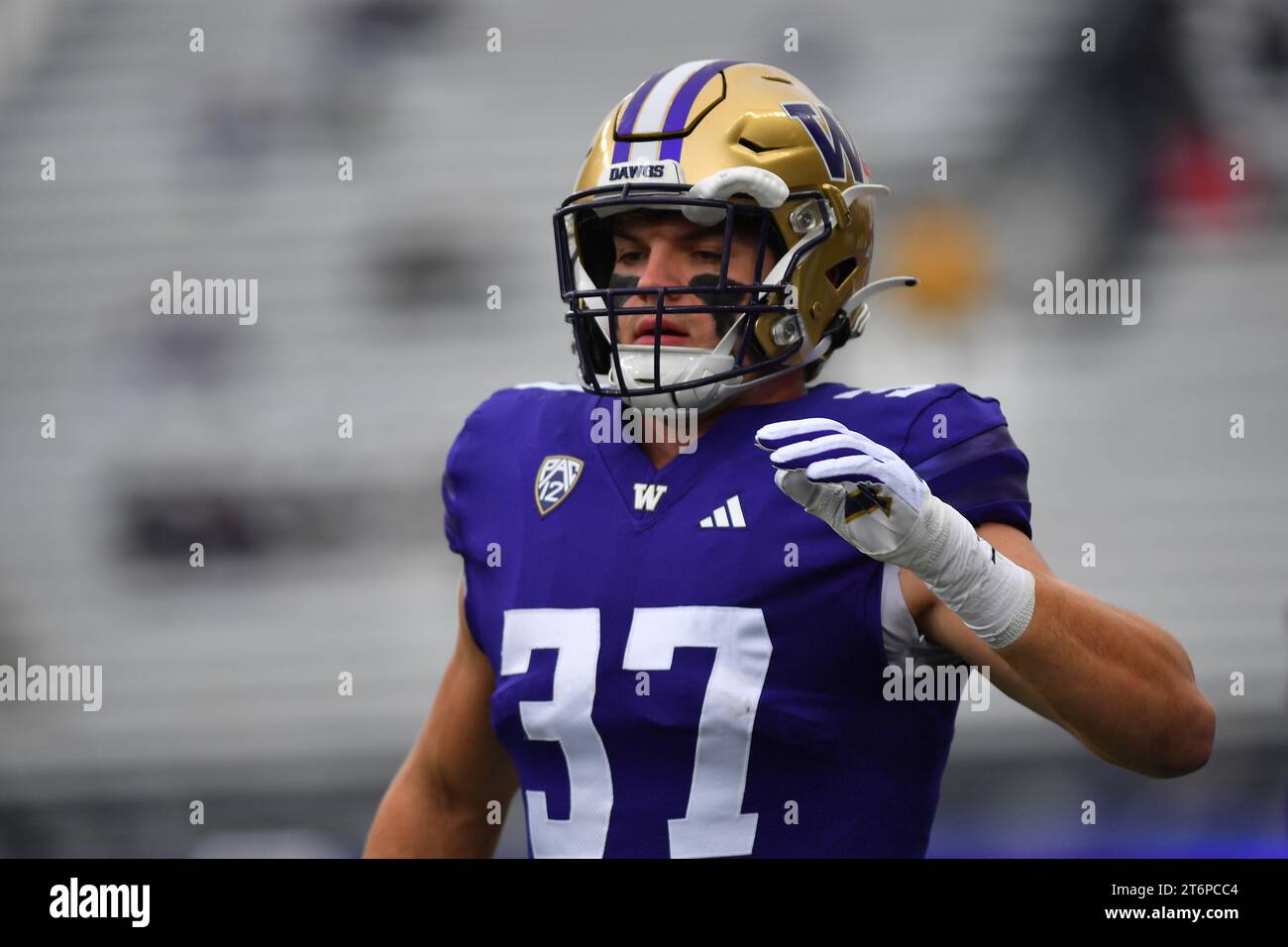 November 11, 2023: Washington Huskies tight end Jack Westover (37 ...