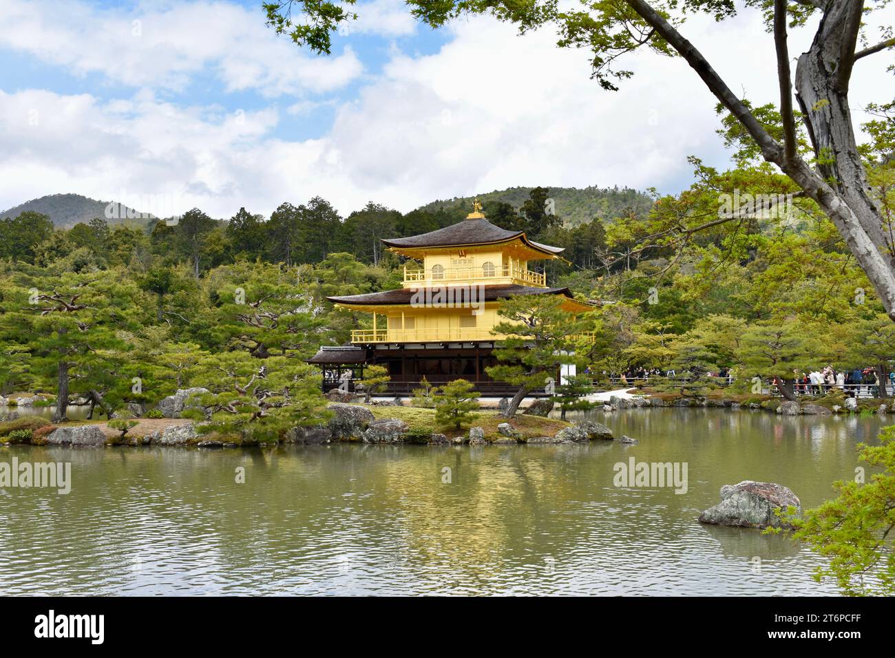 Kinkakuji (Golden Pavilion Stock Photo - Alamy