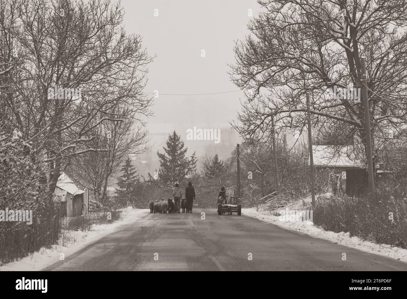 Human activities hi-res stock photography and images - Alamy