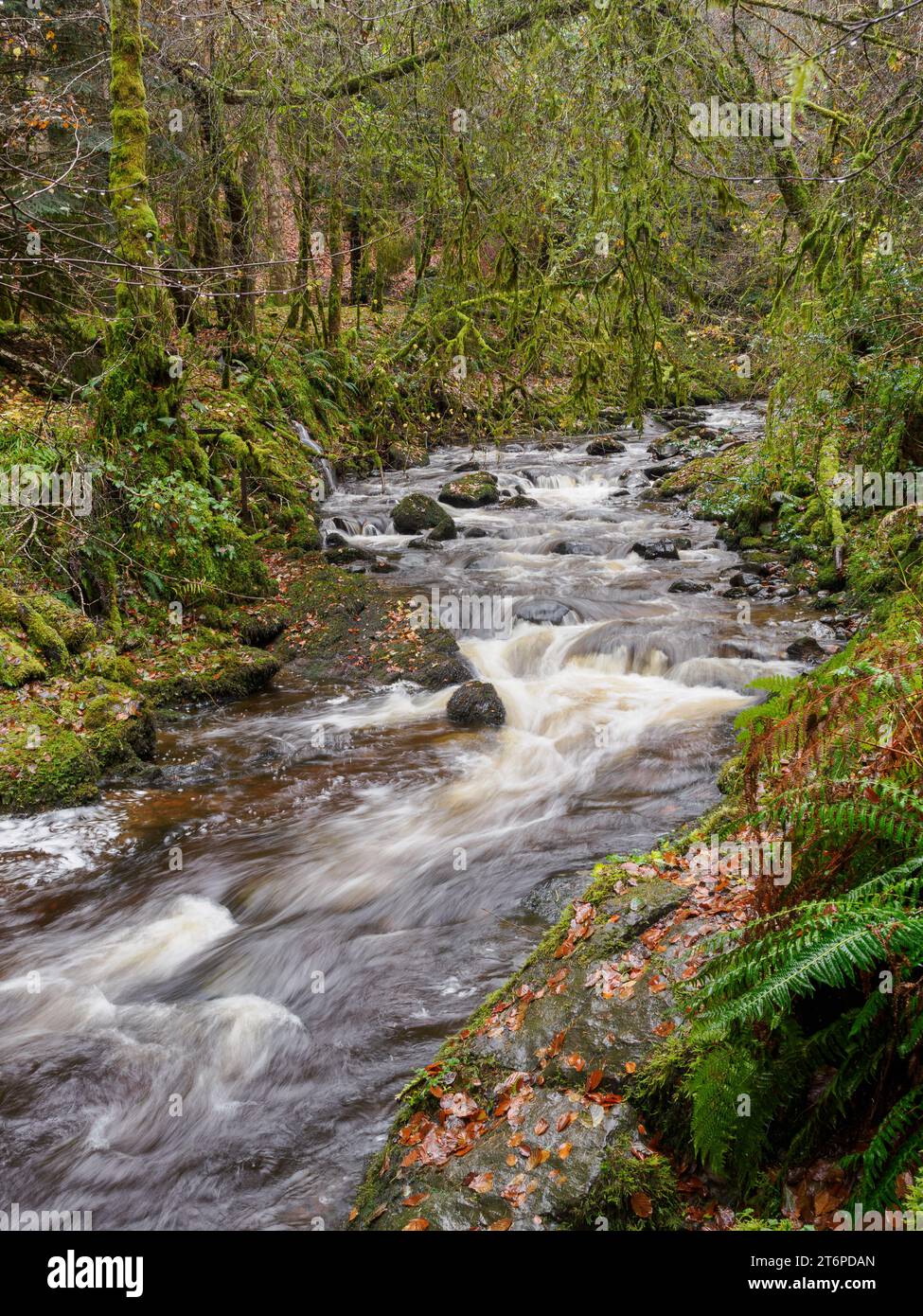 Moniack burn hi-res stock photography and images - Alamy