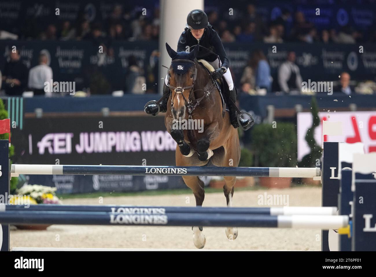 Horse cassina z hi-res stock photography and images - Alamy