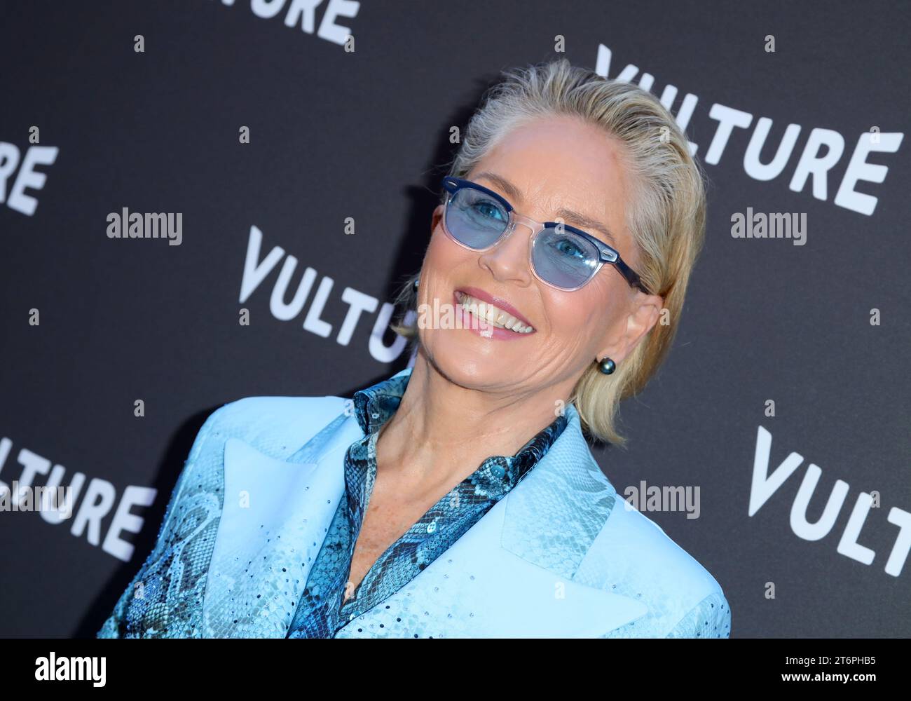 Sharon Stone arrives at The Vulture Festival 2023, Sharon Stone And ...
