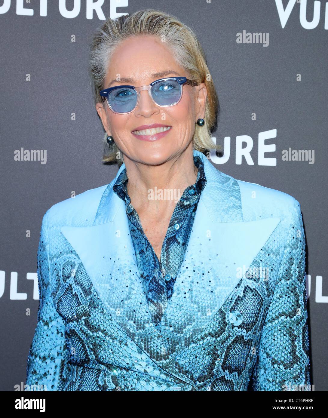 Sharon Stone arrives at The Vulture Festival 2023, Sharon Stone And ...