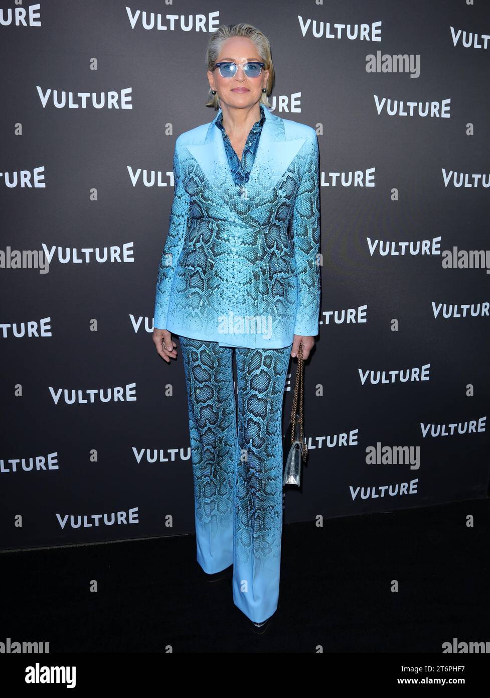 Sharon Stone arrives at The Vulture Festival 2023, Sharon Stone And ...