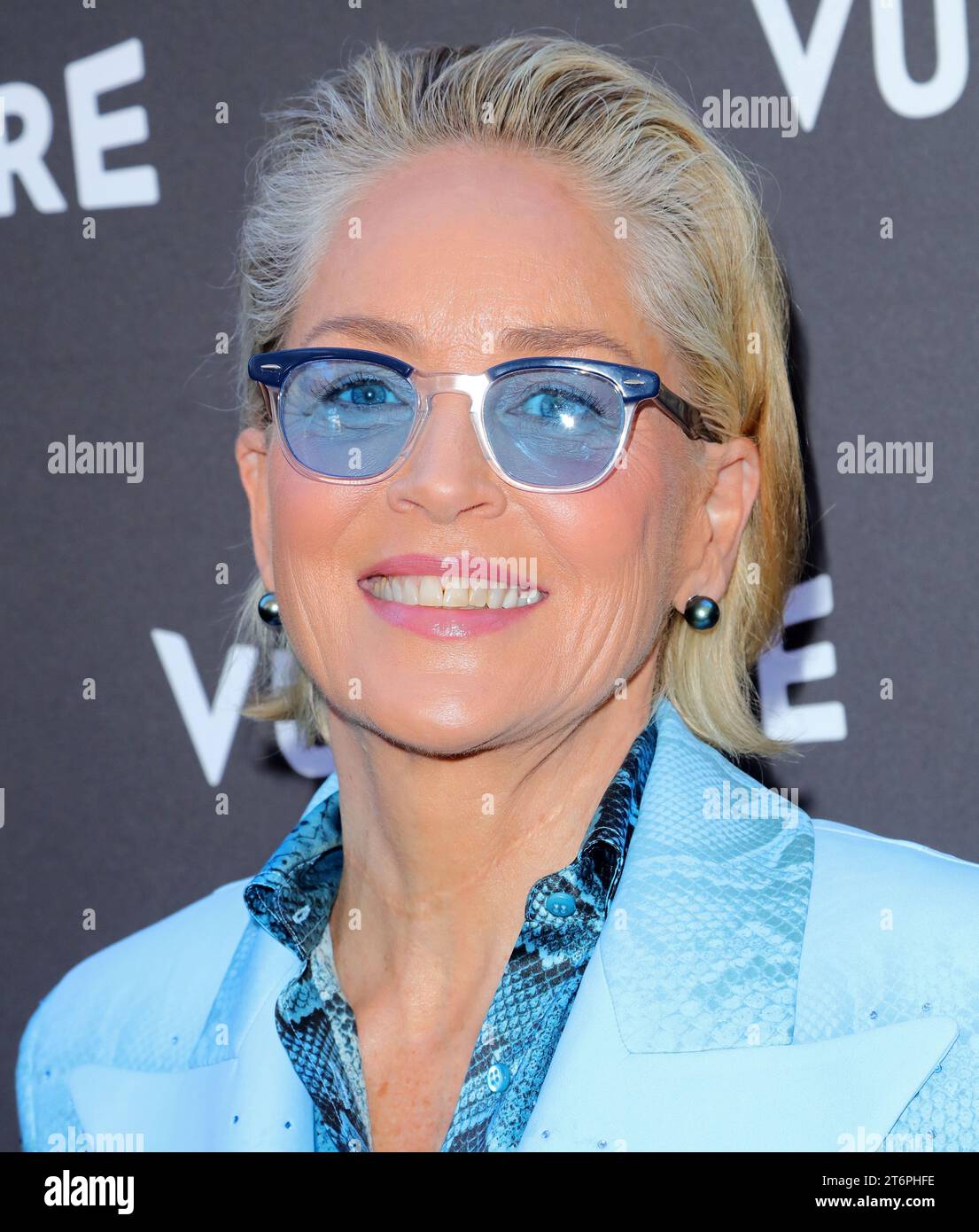 Sharon Stone arrives at The Vulture Festival 2023, Sharon Stone And ...