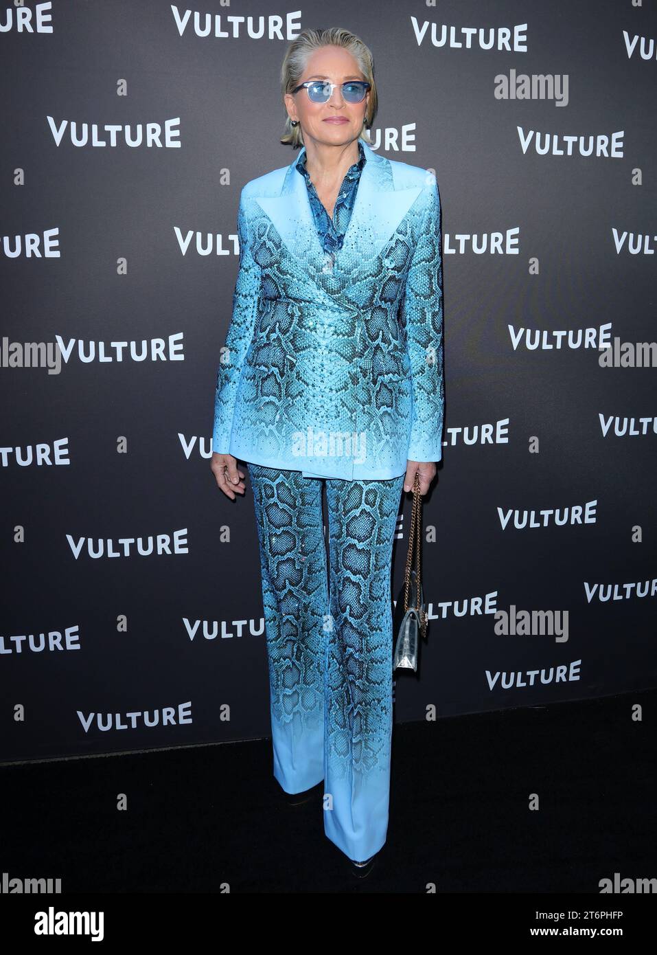 Sharon Stone arrives at The Vulture Festival 2023, Sharon Stone And ...