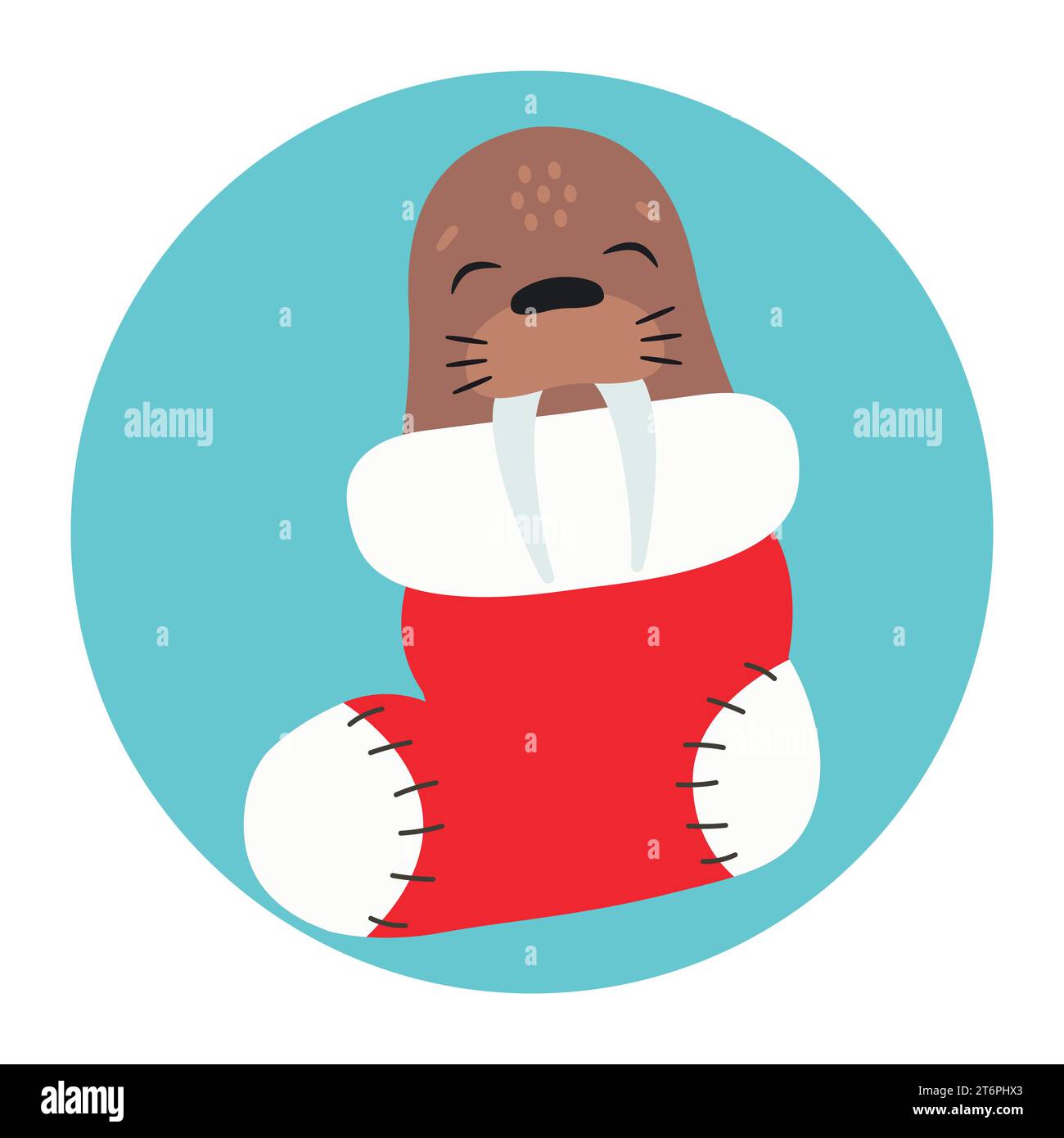 Cute walrus sleeps in a Christmas stocking. Happy Holidays. Winter ...