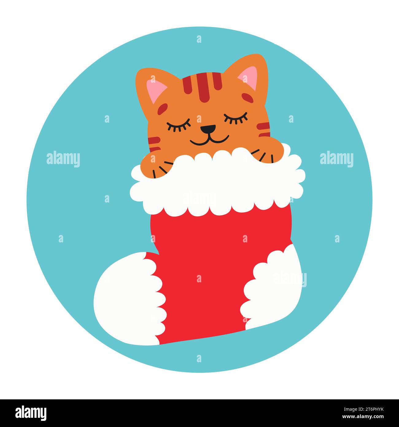 Cute cat in a Christmas stocking. Happy Holidays. Winter animal. Vector ...