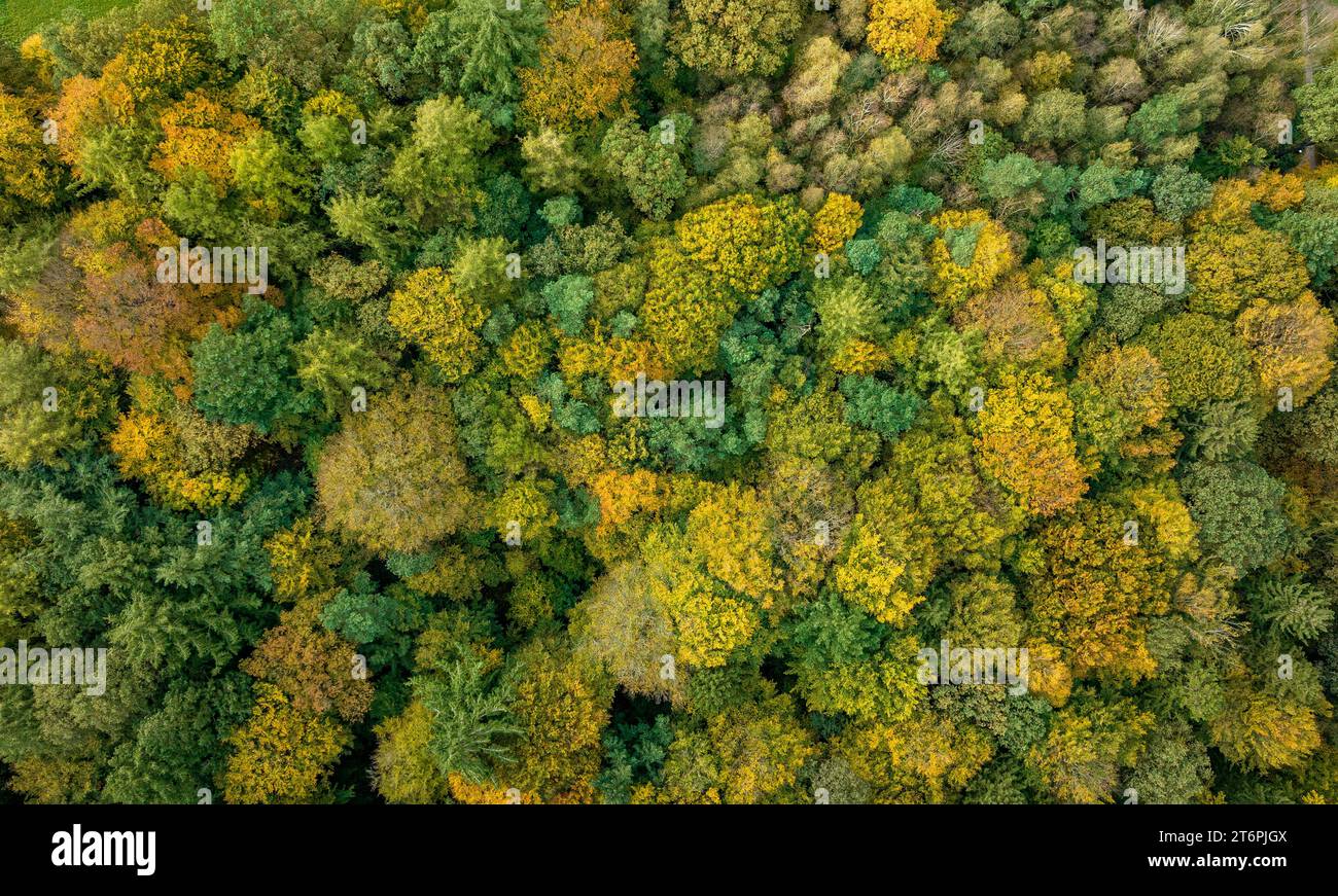 Aerial drone shot colorful autumn hi-res stock photography and images ...