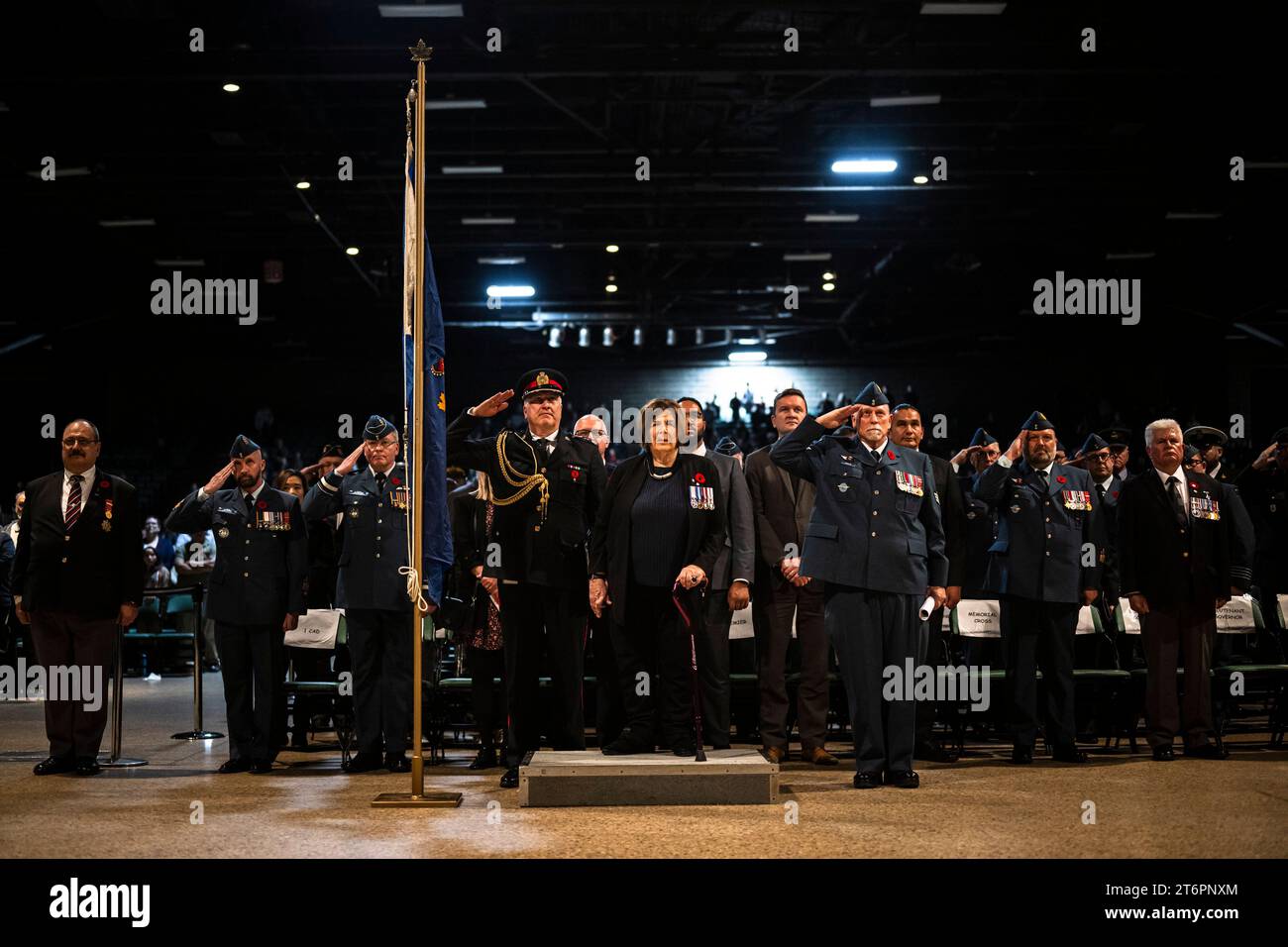 Lieutenant Governor of Manitoba Anita Neville stands during Remembrance ...