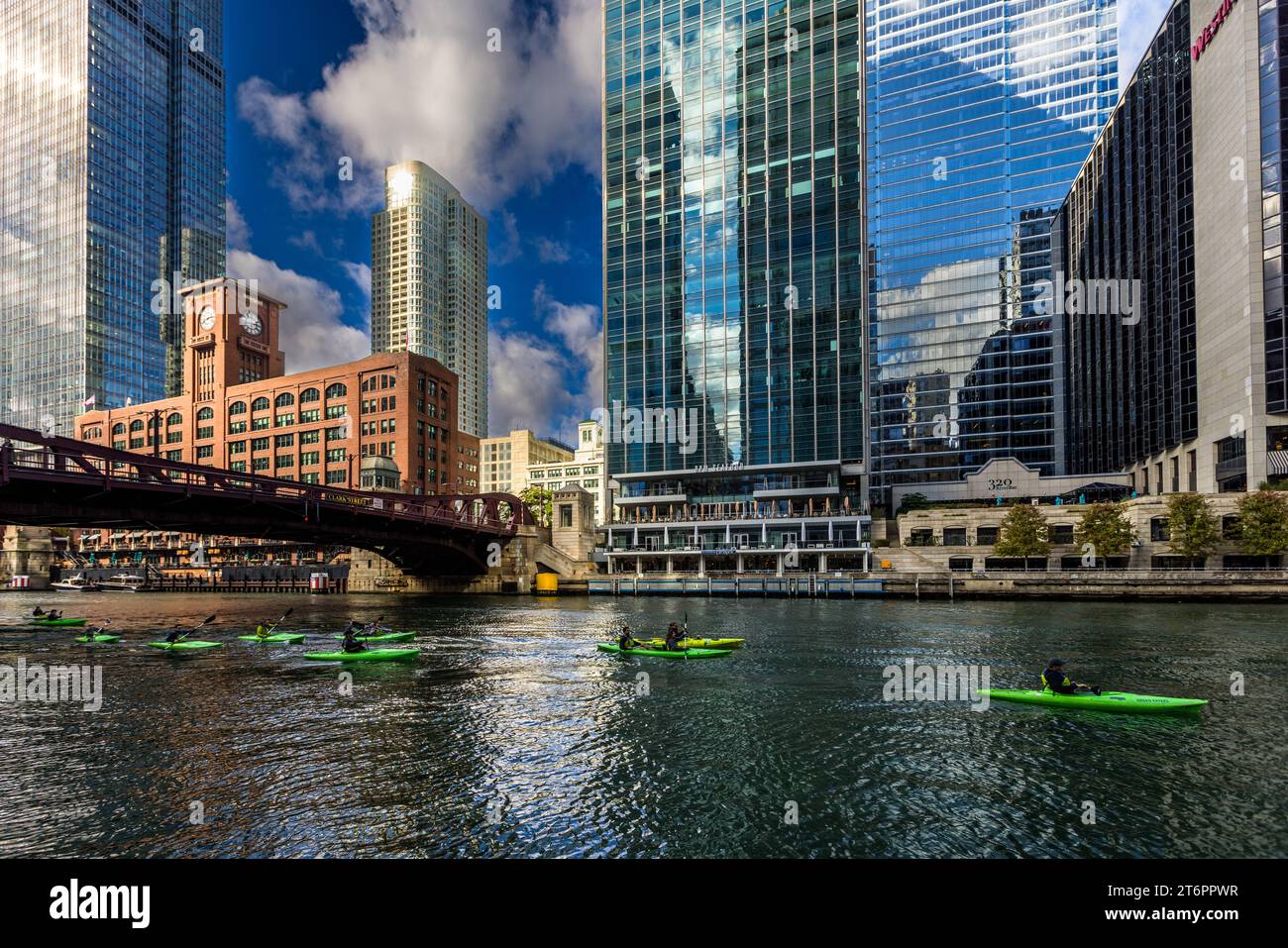 Kayakers on the Chicago River. There are restaurants, bars, cafés ...