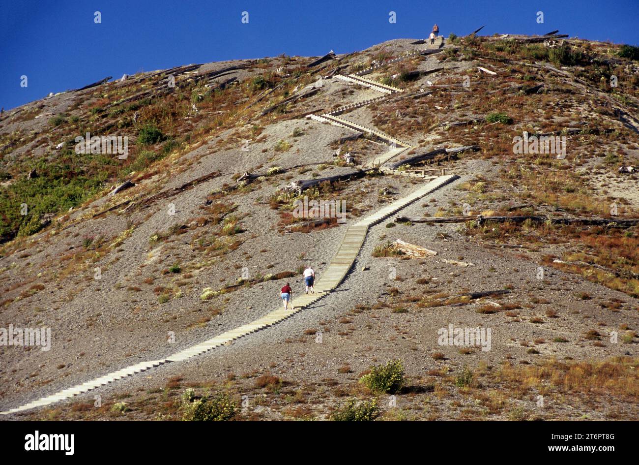 Windy Ridge Trail, Mt St Helens National Volcanic Monument, Washington ...