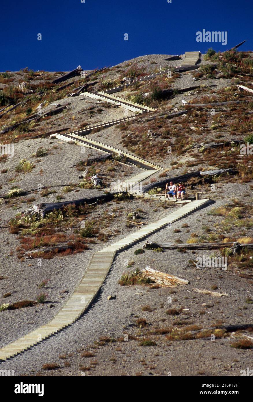 Windy Ridge Trail, Mt St Helens National Volcanic Monument, Washington ...