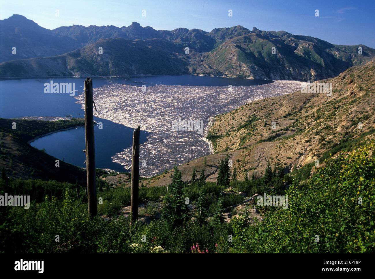 Spirit Lake, Mt St Helens National Volcanic Monument, Washington Stock ...
