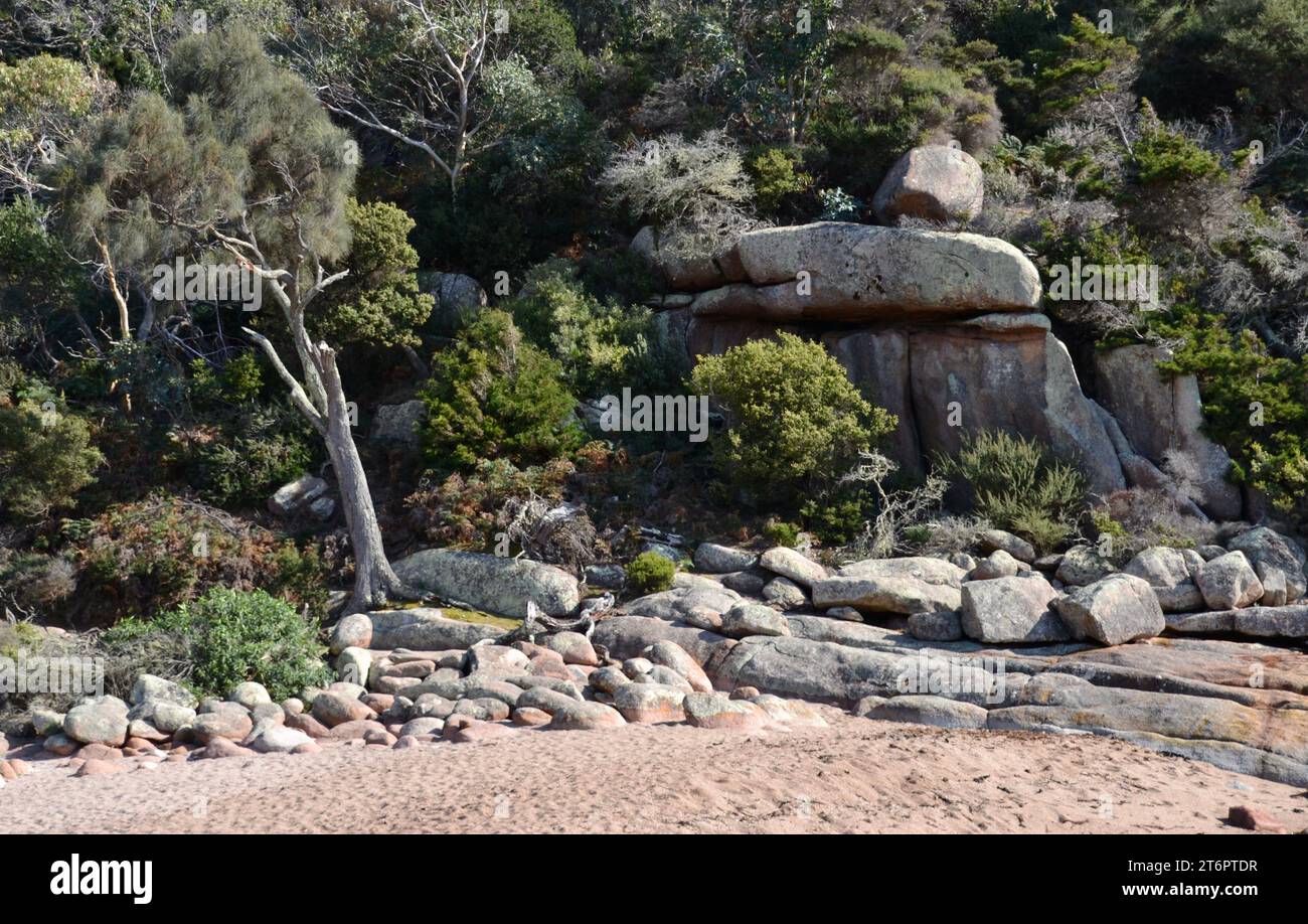 Dramatic beach on Freycinet Peninsula in Tasmania, Australia is fringed ...