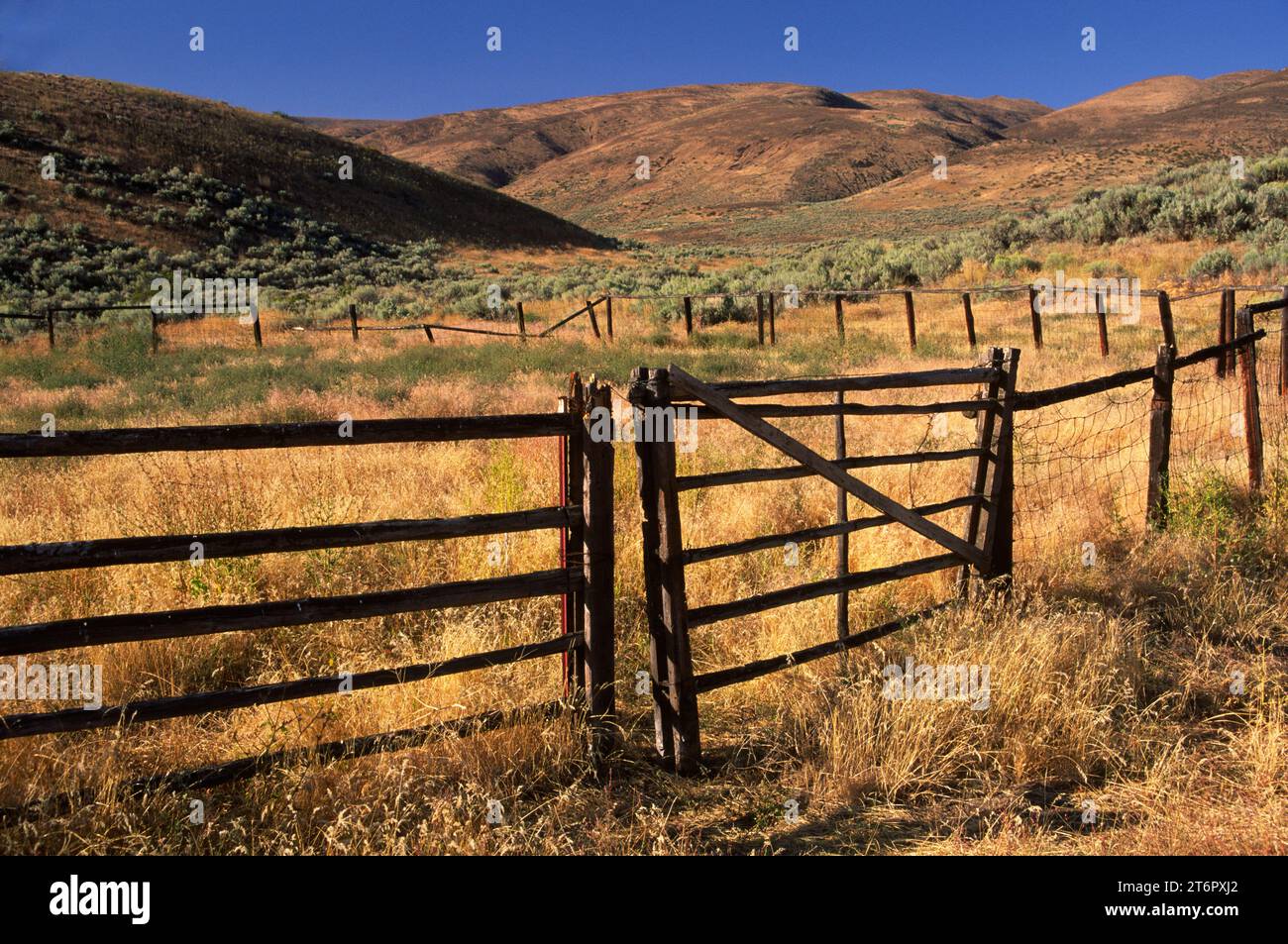 Wenas wildlife area hi-res stock photography and images - Alamy