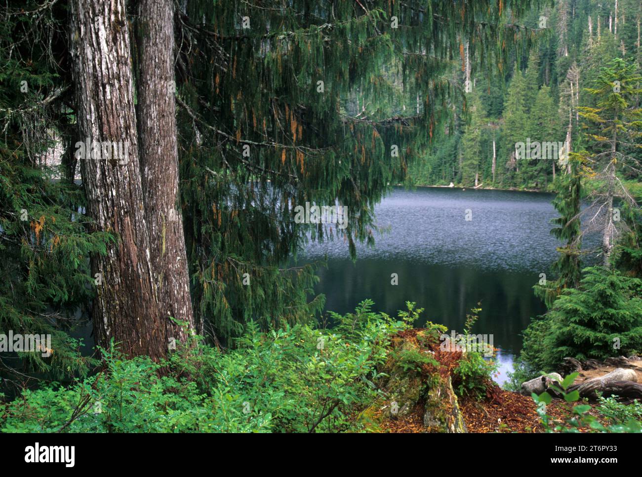 Kelcema hi-res stock photography and images - Alamy