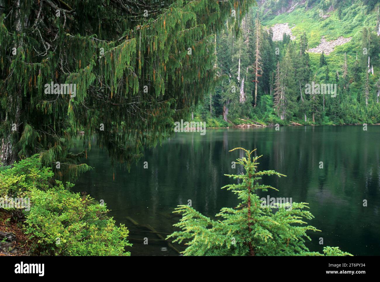 Kelcema hi-res stock photography and images - Alamy