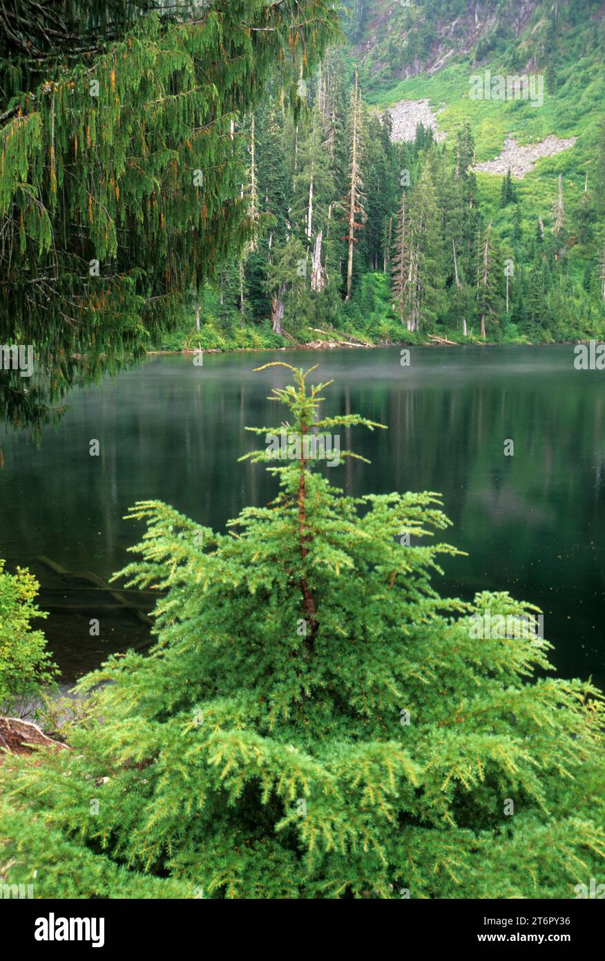 Kelcema Lake, Boulder River Wilderness, Mt Baker-Snoqualmie National ...