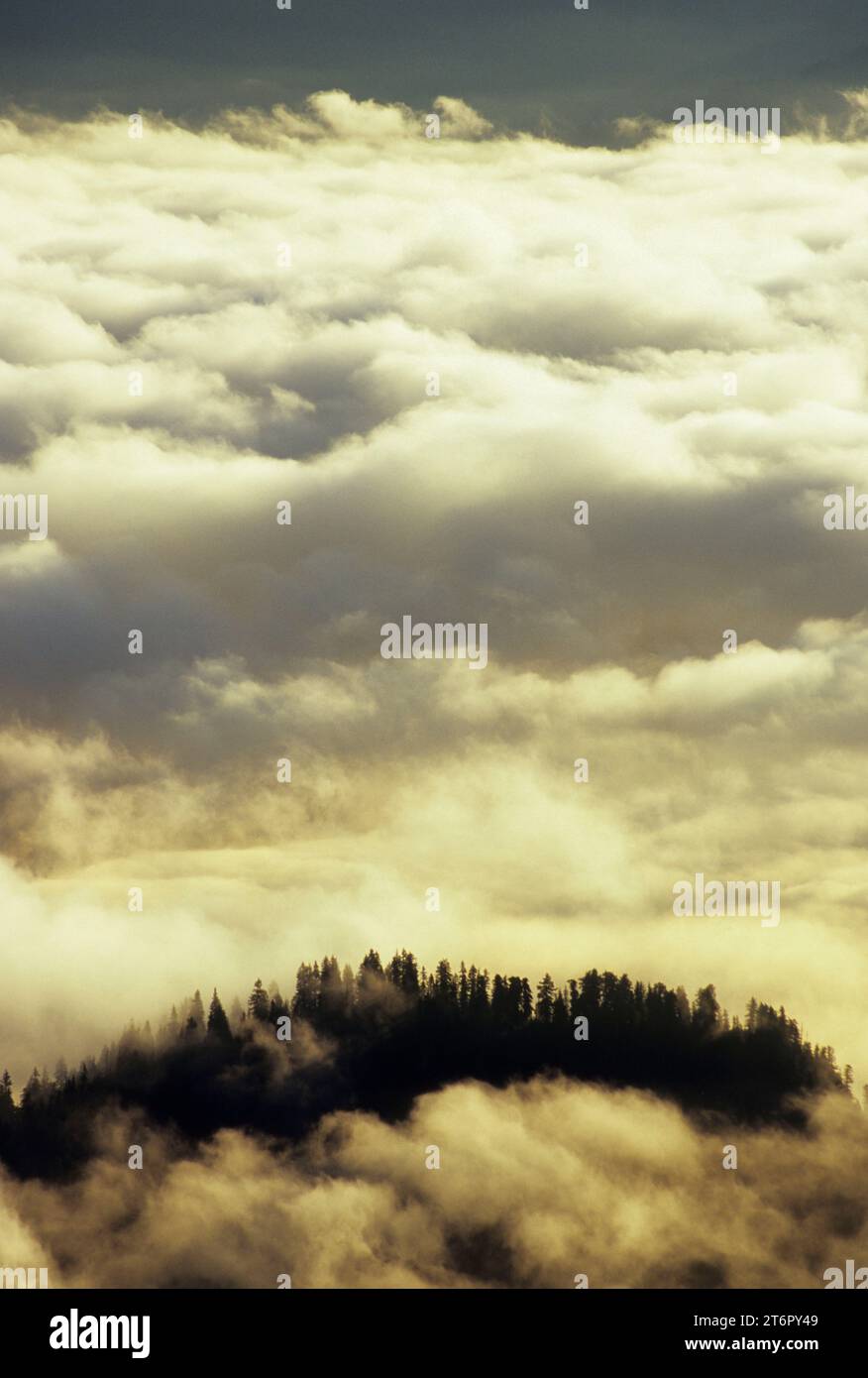 View with clouds from Mt Pilchuck, Mt Pilchuck State Park, Washington ...
