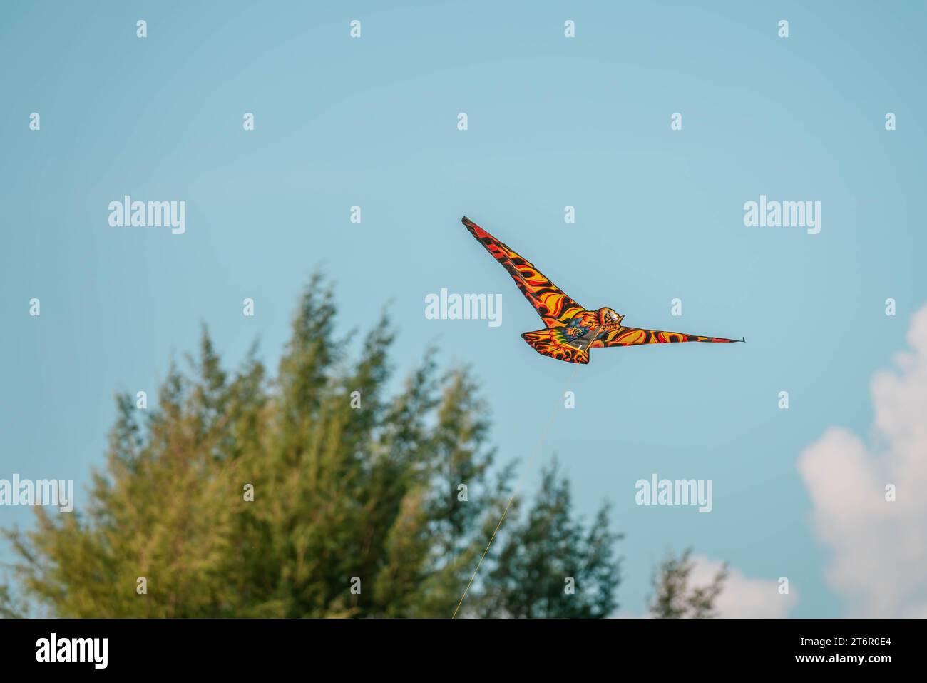 Flying kite toy in form and color of predator bird, close up photo on ...