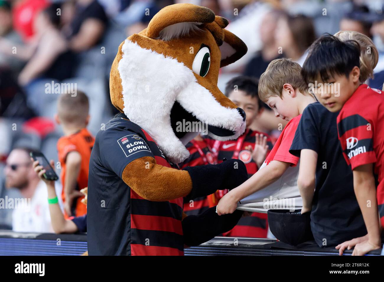 Sunny, the Wanderers mascot signs autographs with fans during the A ...