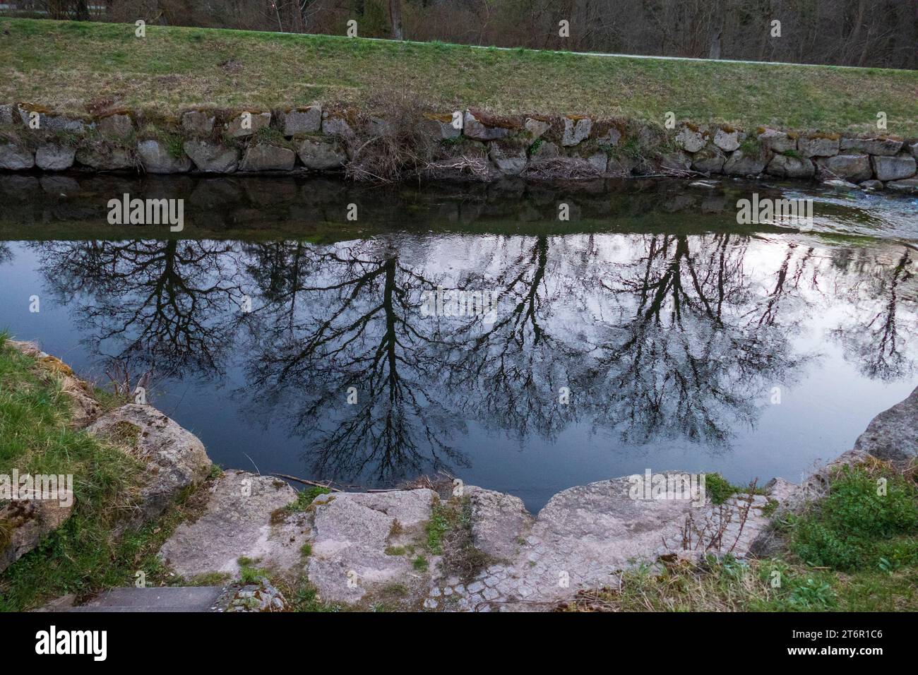 Bäume spiegeln sich im Bach am Überlauf zum Rhein bei Iffezheim Stock ...
