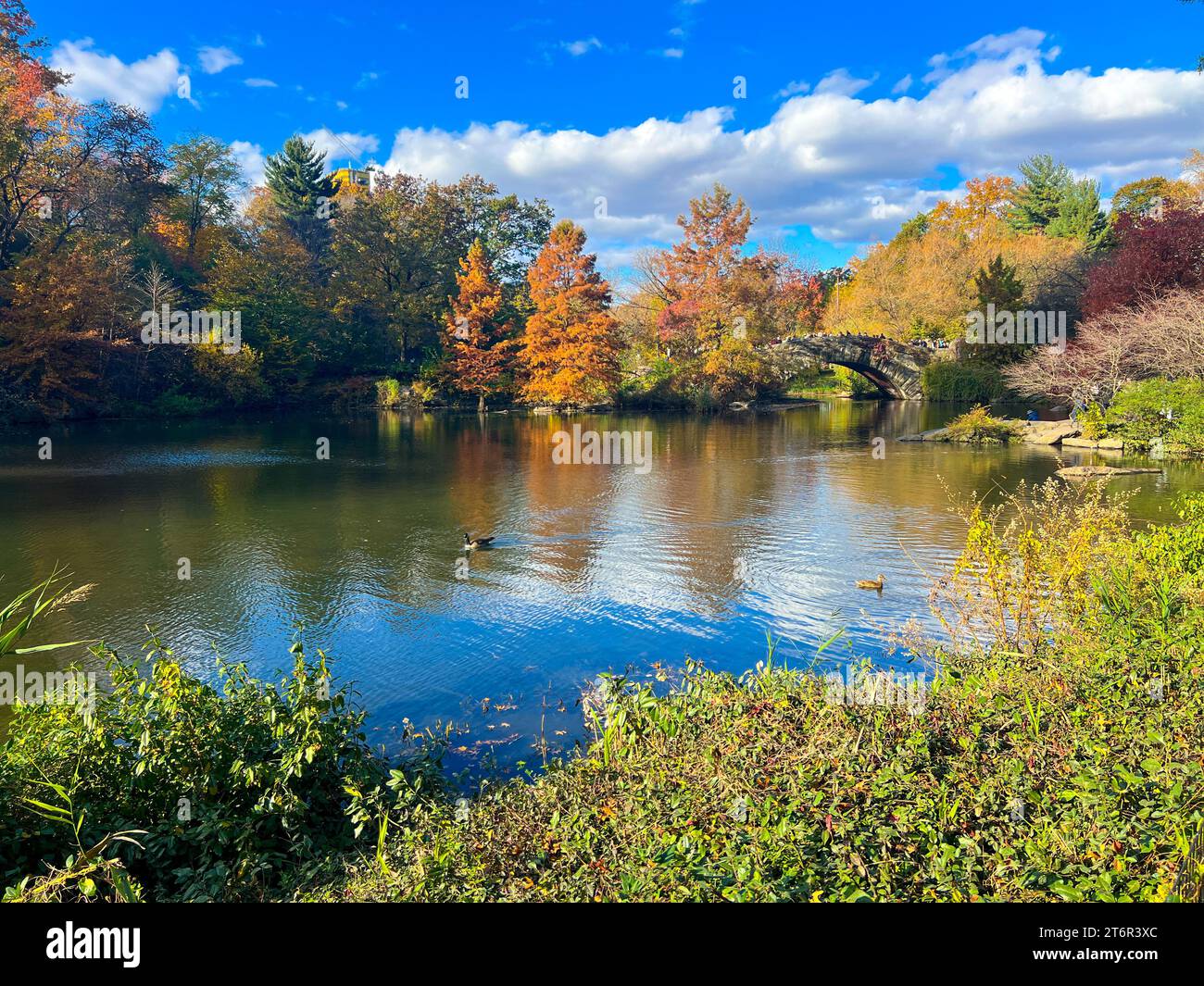 New York City, United States. 11th November, 2023. Central Park lake ...