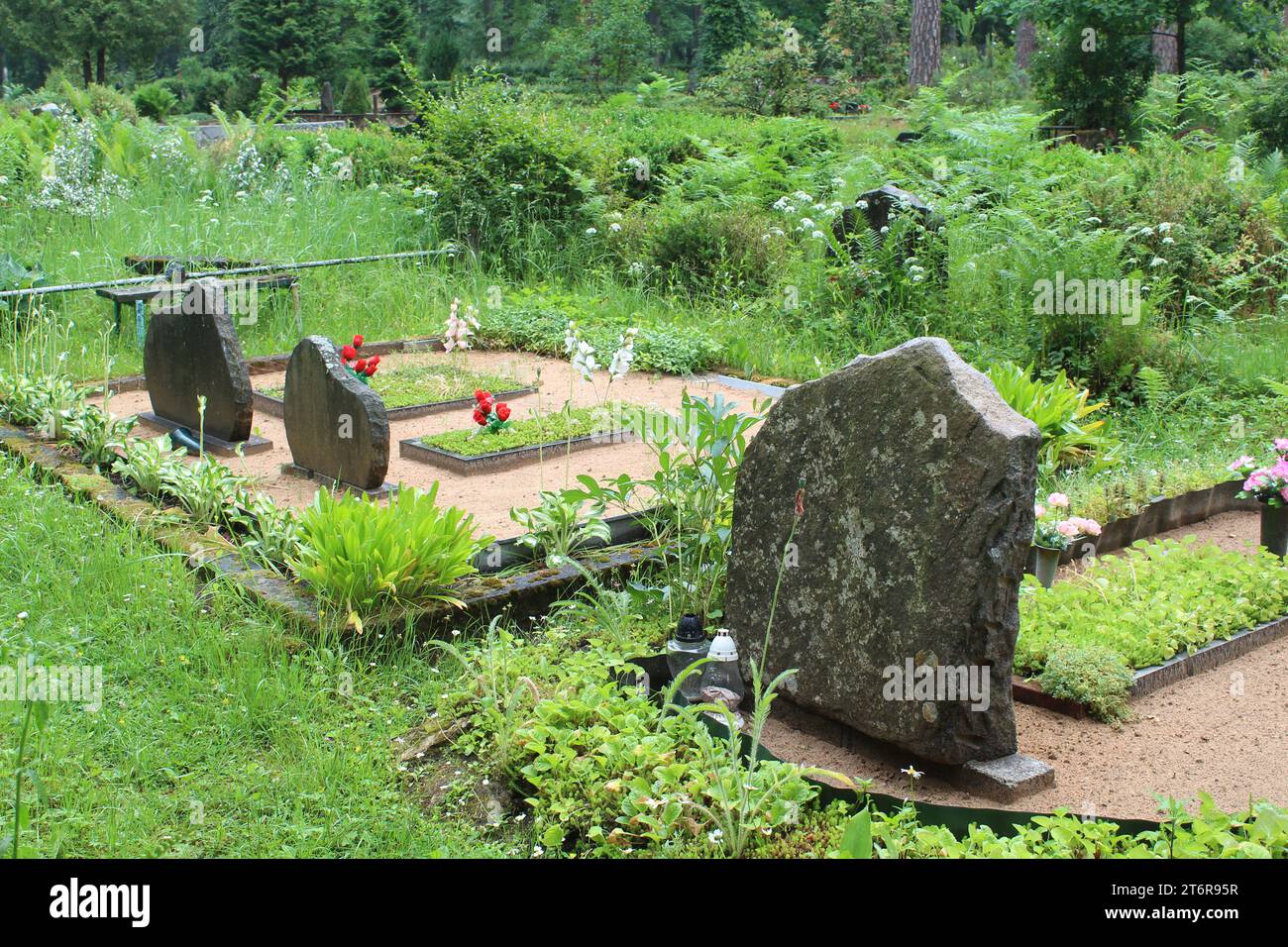 Three gray headstones in a cemetery with flowers in Ogre, Latvia Stock ...