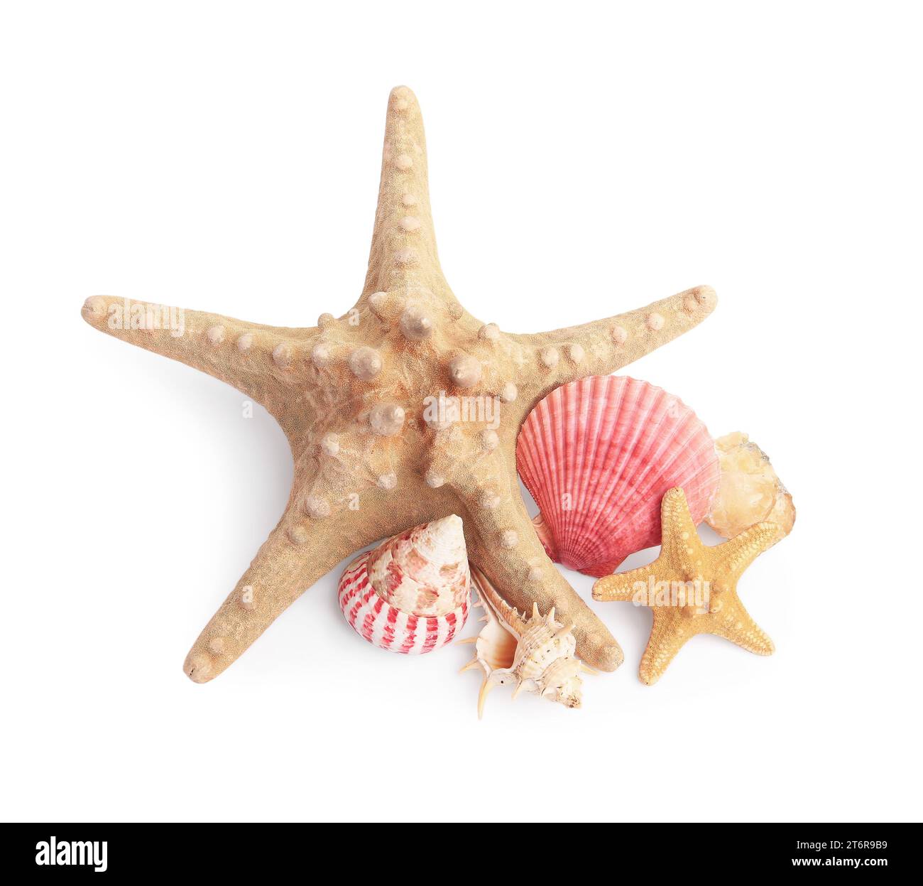 Beautiful sea stars and seashells isolated on white Stock Photo - Alamy