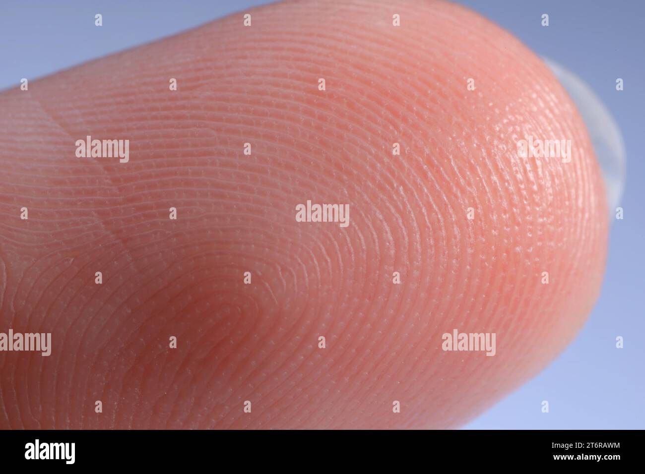 Macro view of finger with friction ridges Stock Photo - Alamy