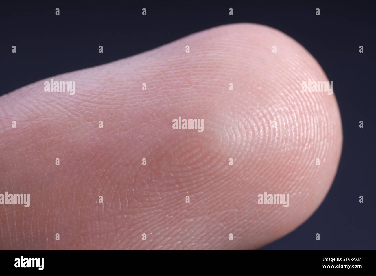 Finger with friction ridges on dark background, macro view Stock Photo ...