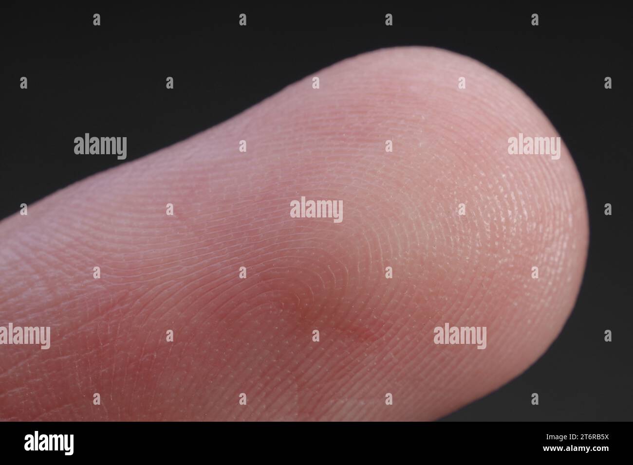 Finger with friction ridges on dark background, macro view Stock Photo ...