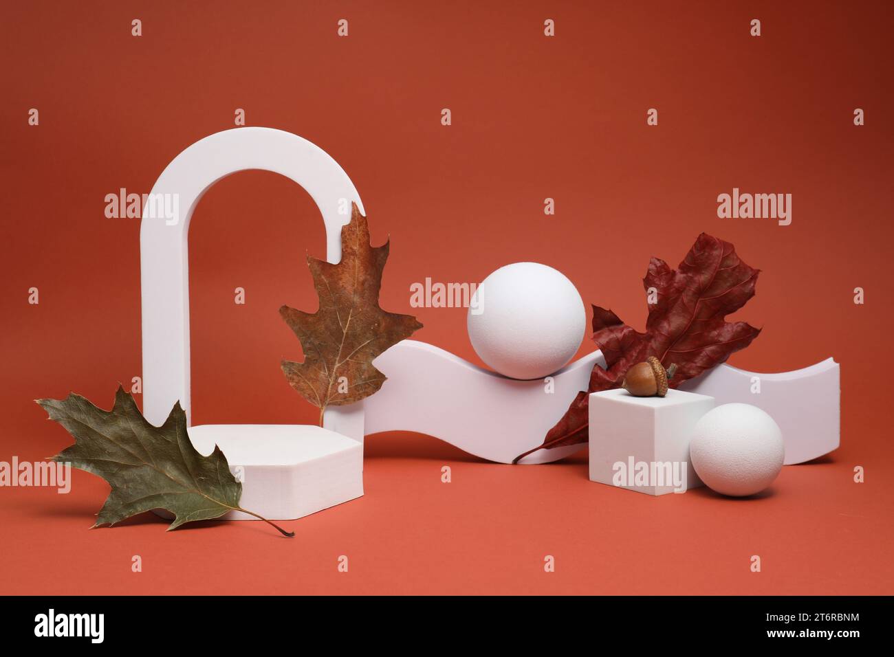 Autumn presentation for product. Geometric figures, acorn and dry ...